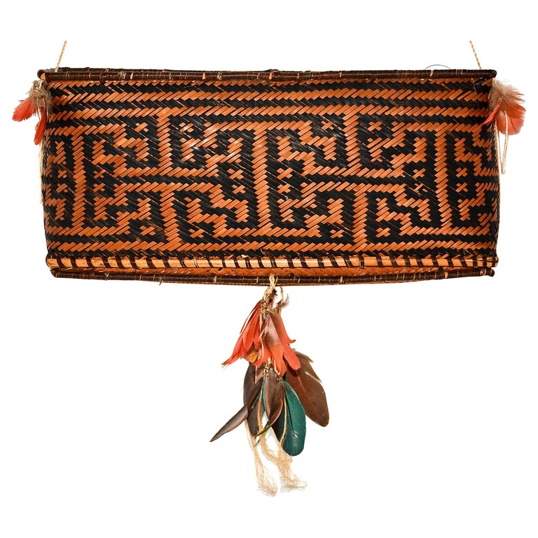 Amazonian Feather Storage Basket For Sale at 1stDibs