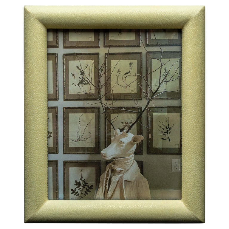 Large Natural Shagreen Frame For Sale at 1stDibs