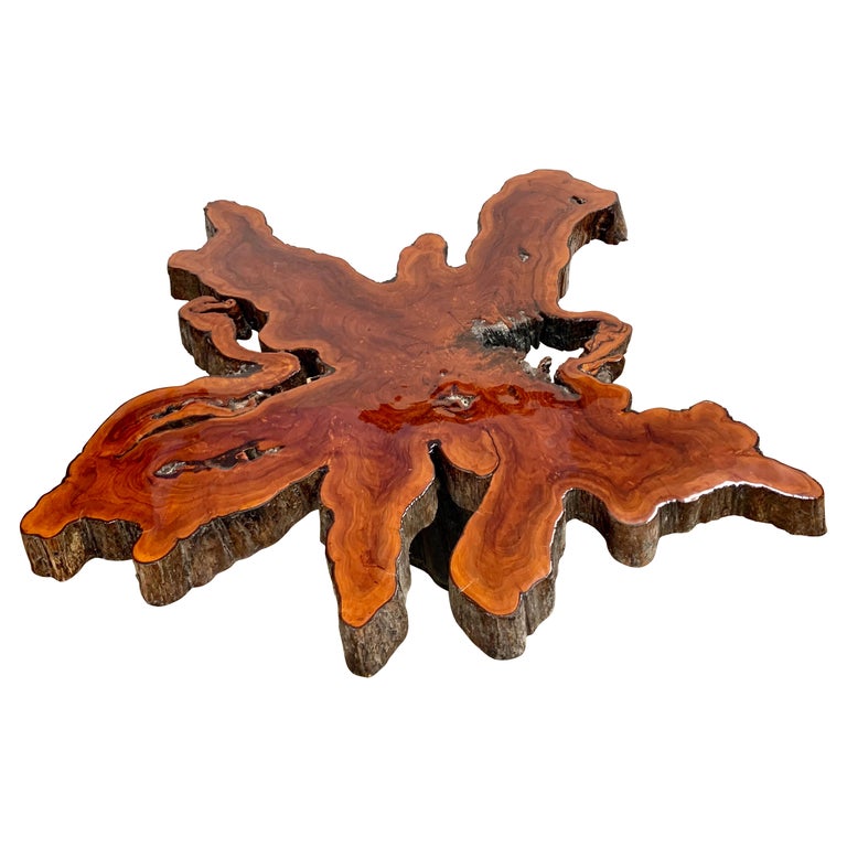 Midcentury Modern Vintage Live Edge Organic Wood Tree Slab Cocktail ...