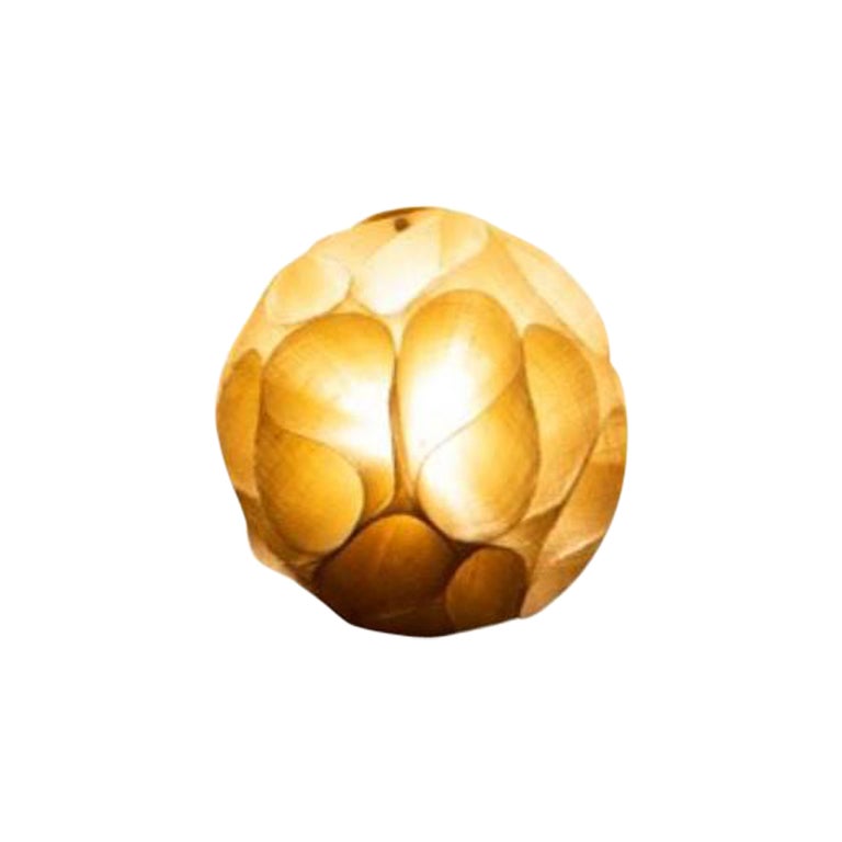 Tremella Wall Sconce / Ceiling Hung by Sashi Malik For Sale at 1stDibs
