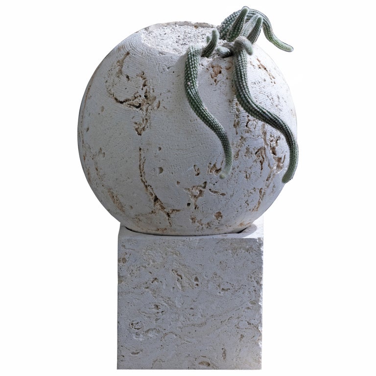 Coral Rock Star Planter For Sale at 1stDibs