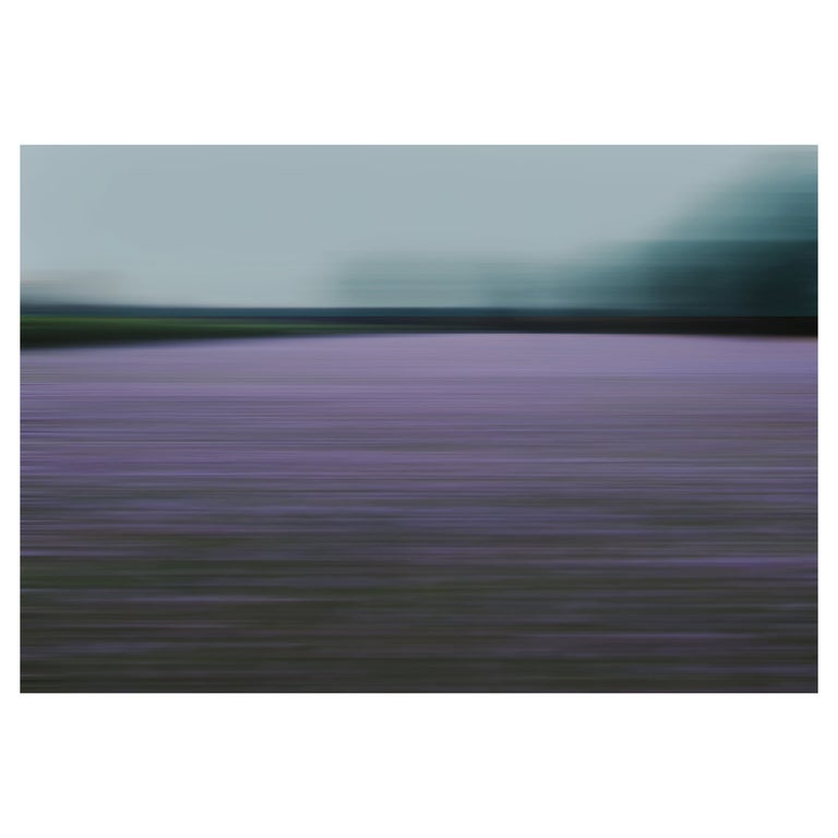 Bonnie Edelman "Lavender Field at Dusk, Germany" Photograph, Scapes ...