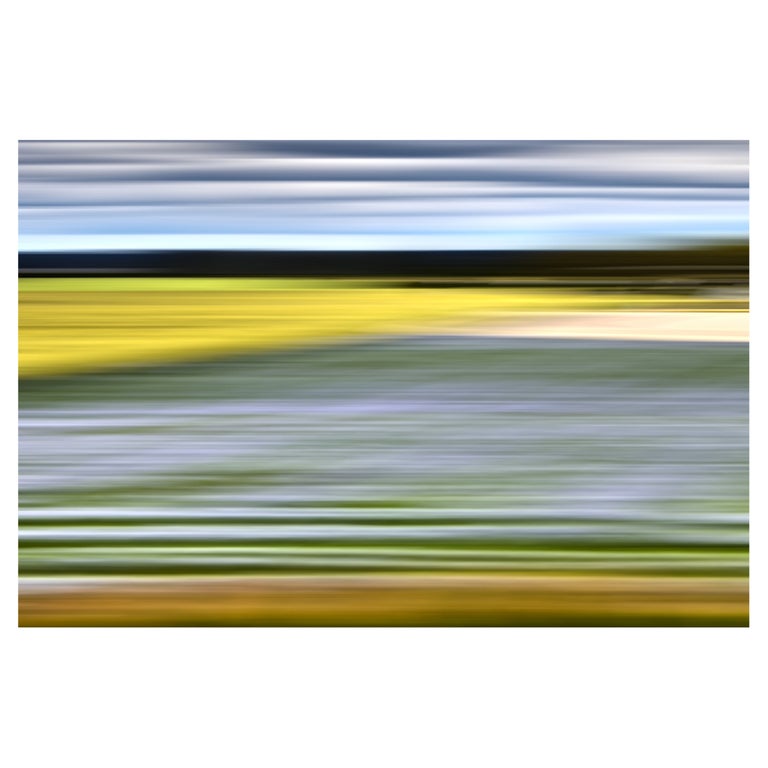 Bonnie Edelman "Lavender Weeds in Sweden" Photograph, Scapes Series ...