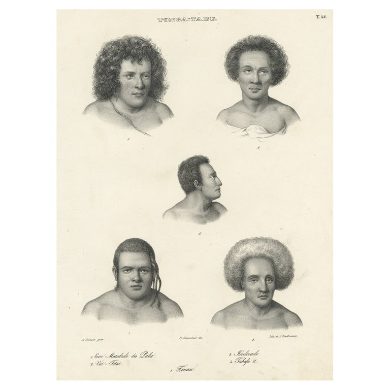 Old Print Depicting Various Inhabitants of Tonga Tabu, ca.1836 For Sale ...