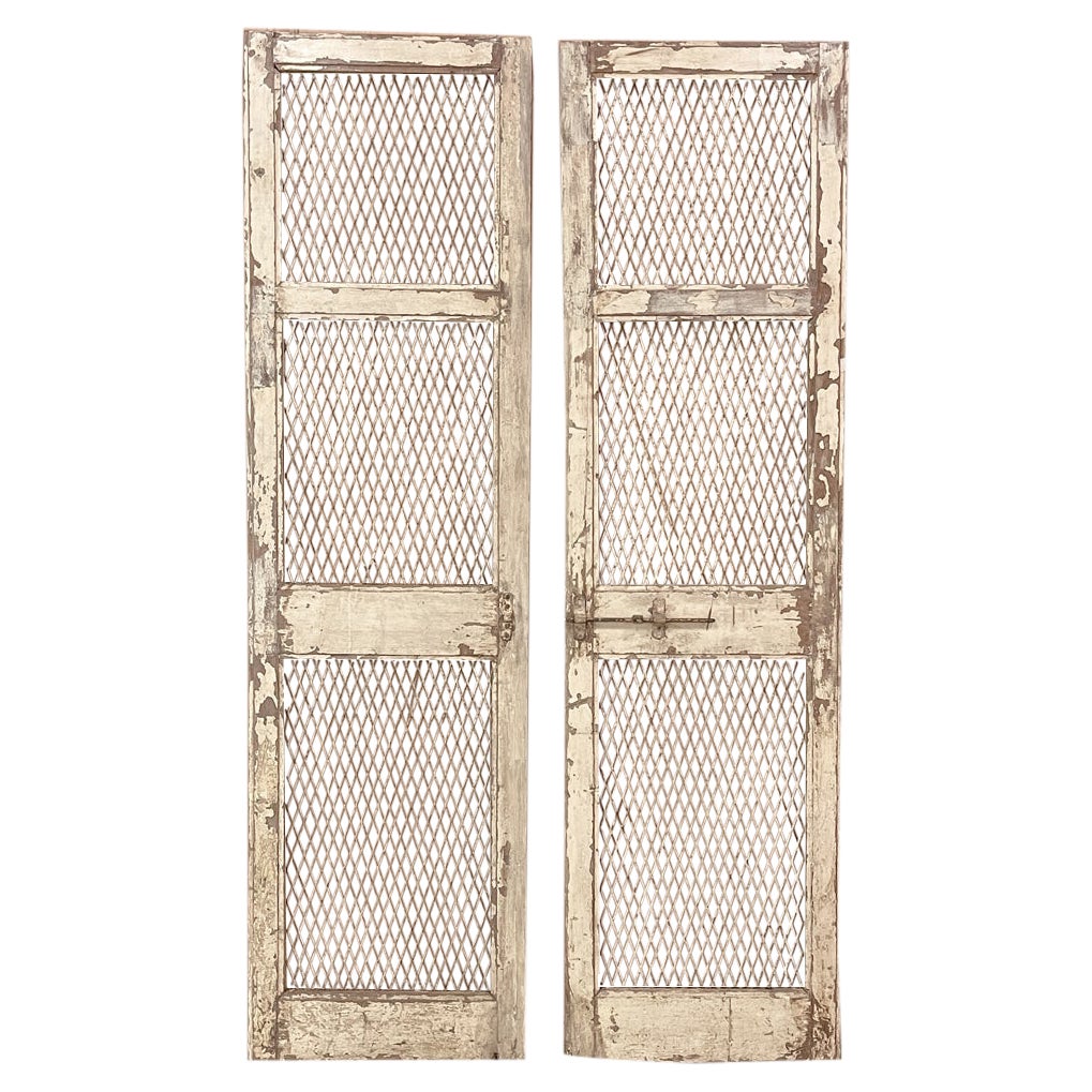Pair of Antique French Shutters w/Original Paint and Hardware at 1stDibs