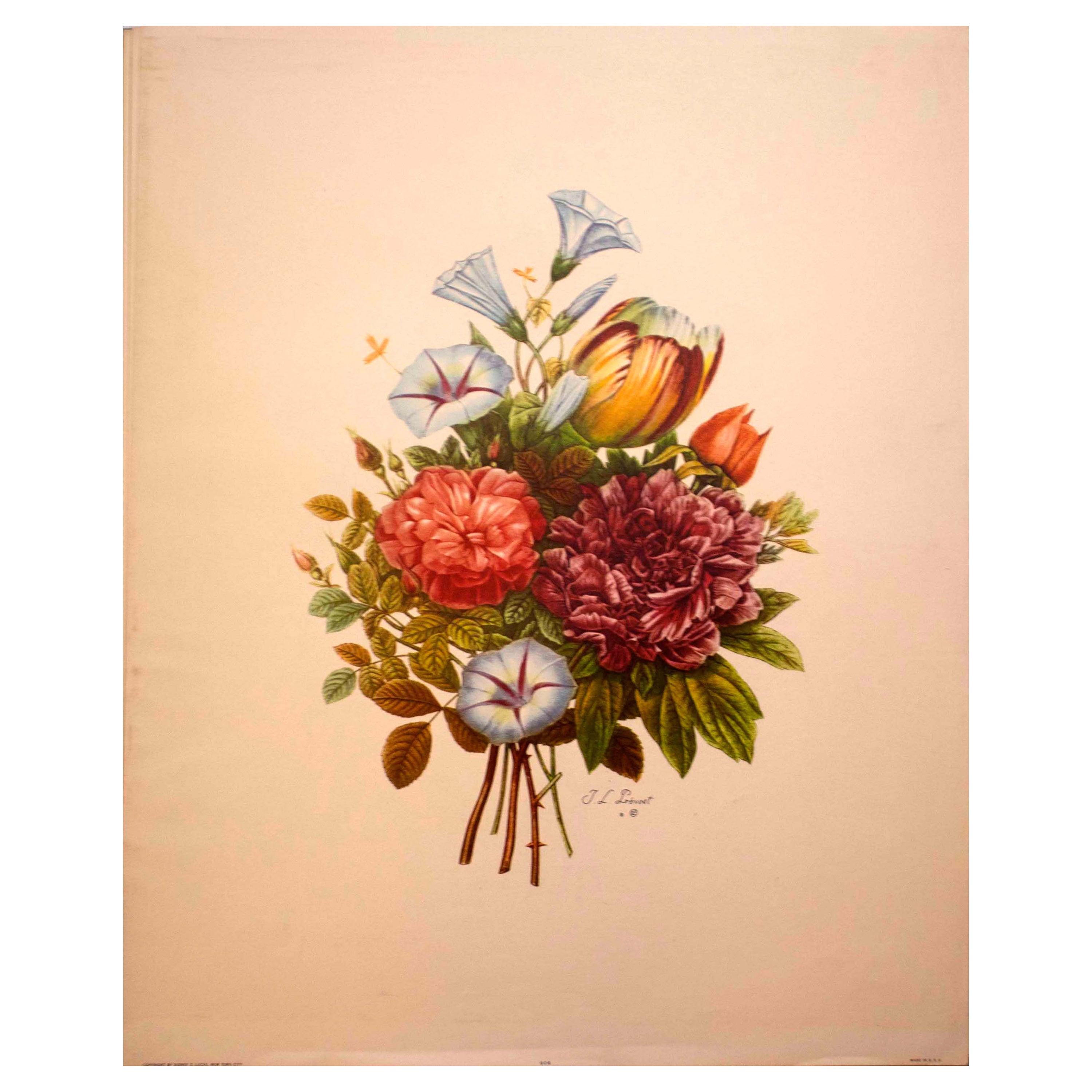 Portfolio of Jean-Louis Prevost Bouquets Etchings at 1stDibs | jean ...