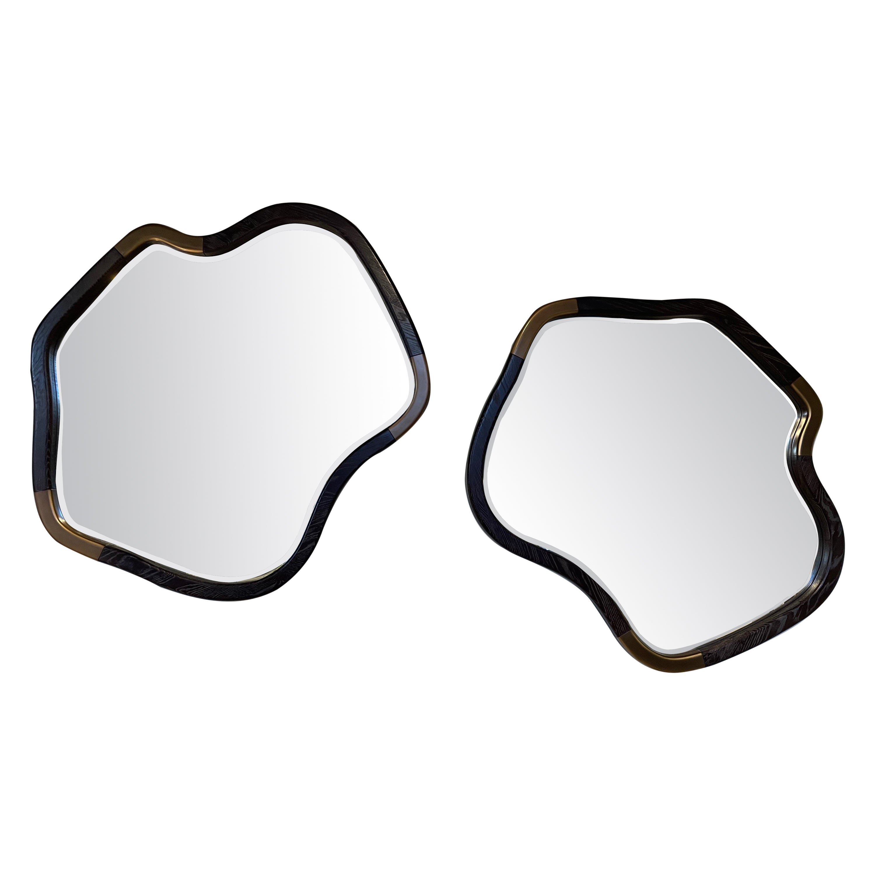 Organic Modern Free Form Mirrors with Burnished Brass Accents at 1stDibs