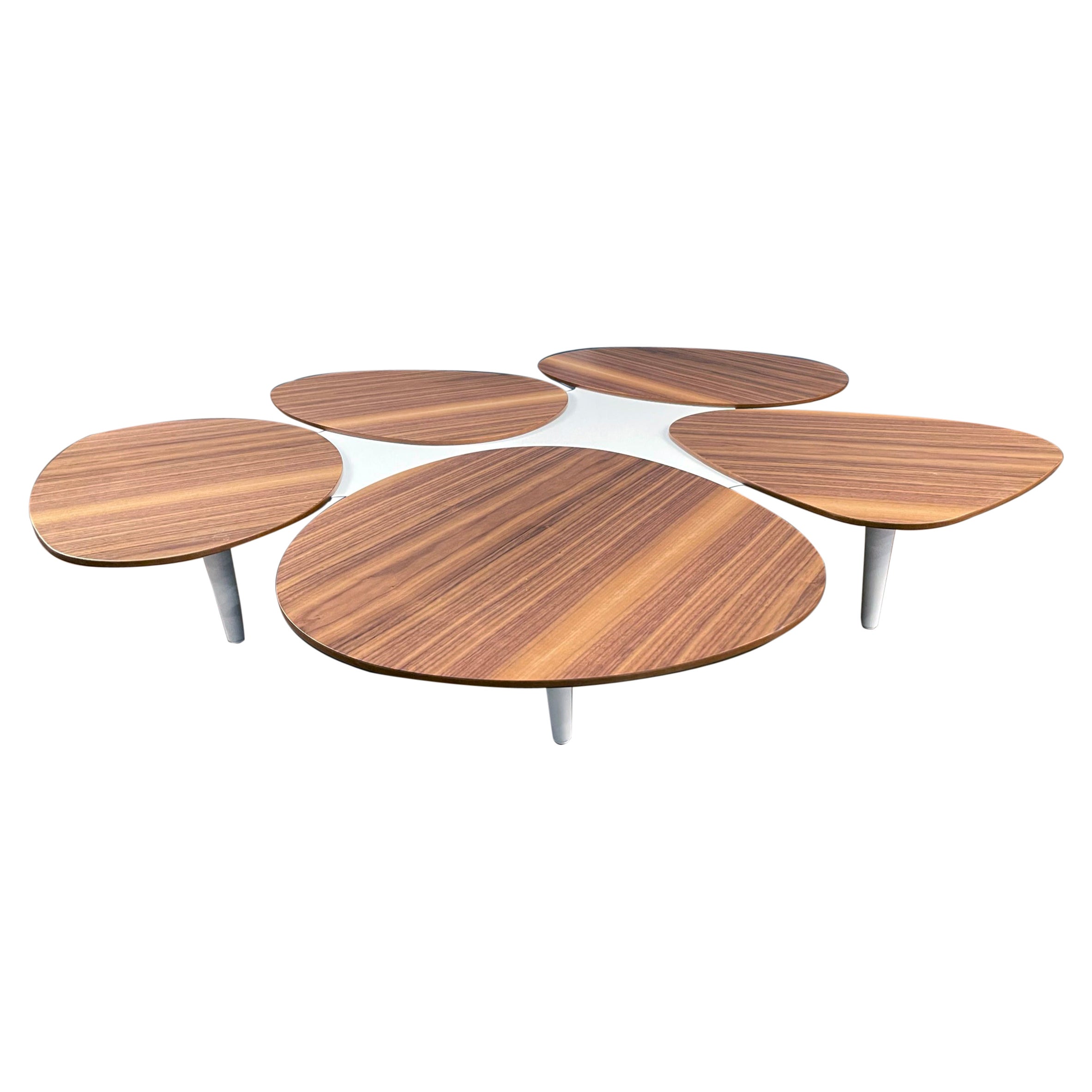 Table centrale Matthew du 21e siècle en bois de noyer et rotin En vente ...