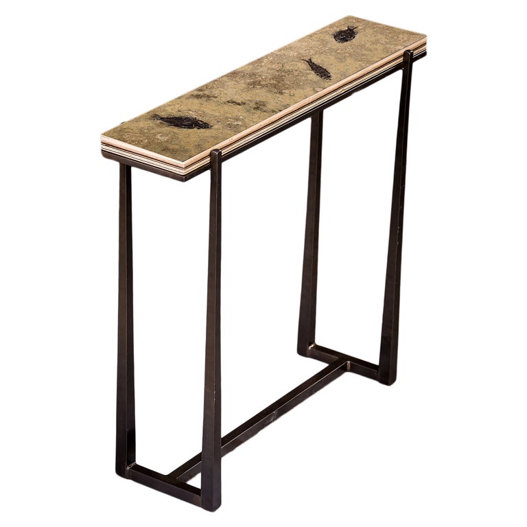 50 Million Year Old Eocene Era Fossil Fish Console Table in Stone, from ...