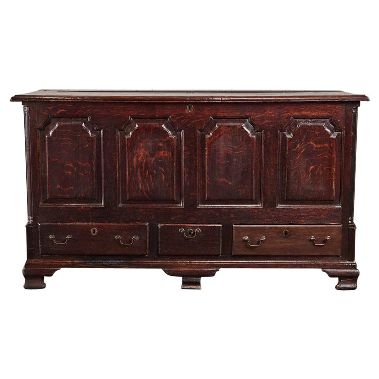 19th Century English Mule Chest For Sale at 1stDibs