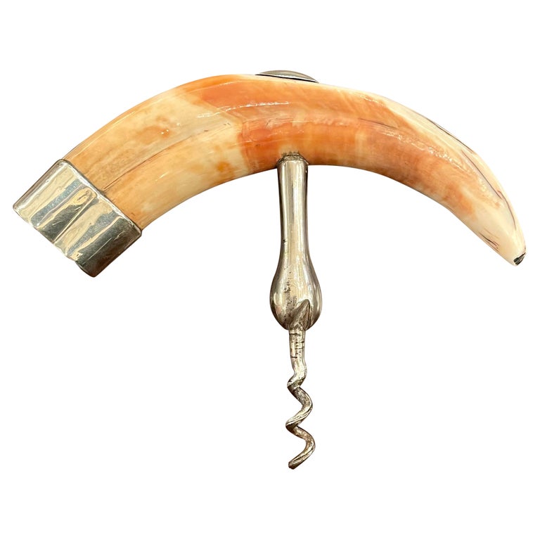 Antique English Hallmarked Sterling Silver Mounted Boar's Tusk ...