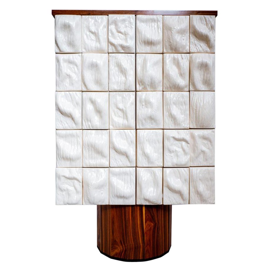 21st Century "Surfaced cabinet" by Rem Atelier Ceramic Walnut Wood ...