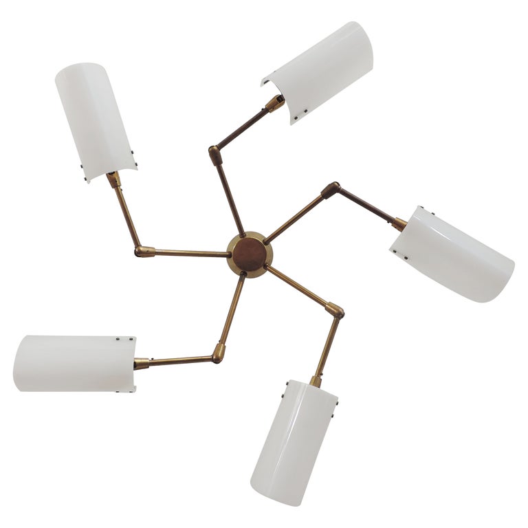 Rare Giuseppe Ostuni and Tito Agnoli Ceiling Lamp for Oluce, Italy ...