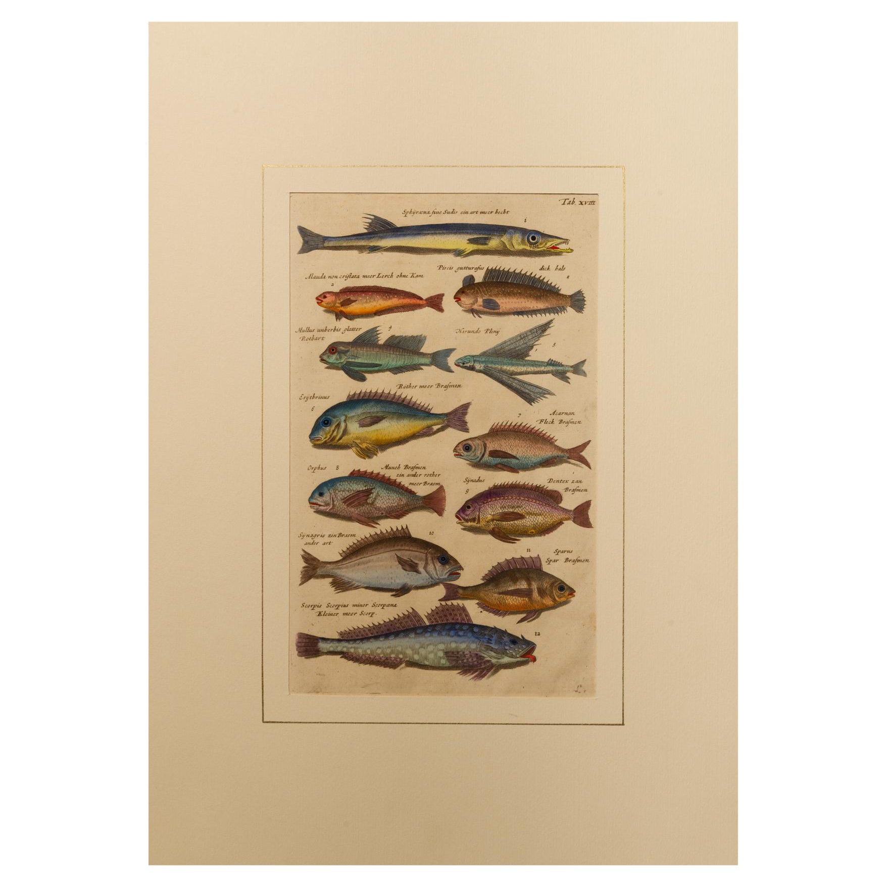 Complete Series of Framed Vintage Flair Magazines at 1stDibs