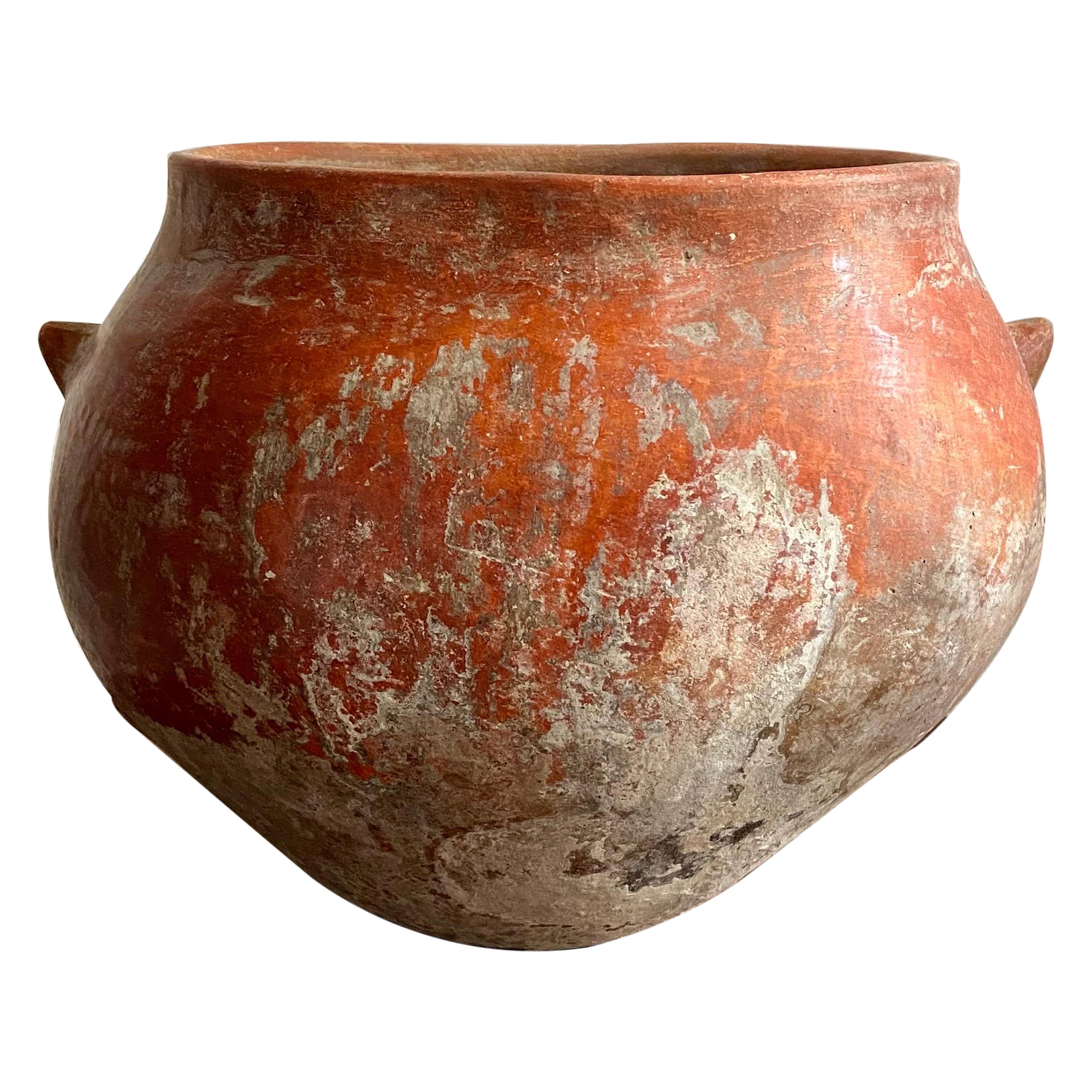 Long Necked Water Jug from Mexico's Huasteca Region, Circa 1970's at ...