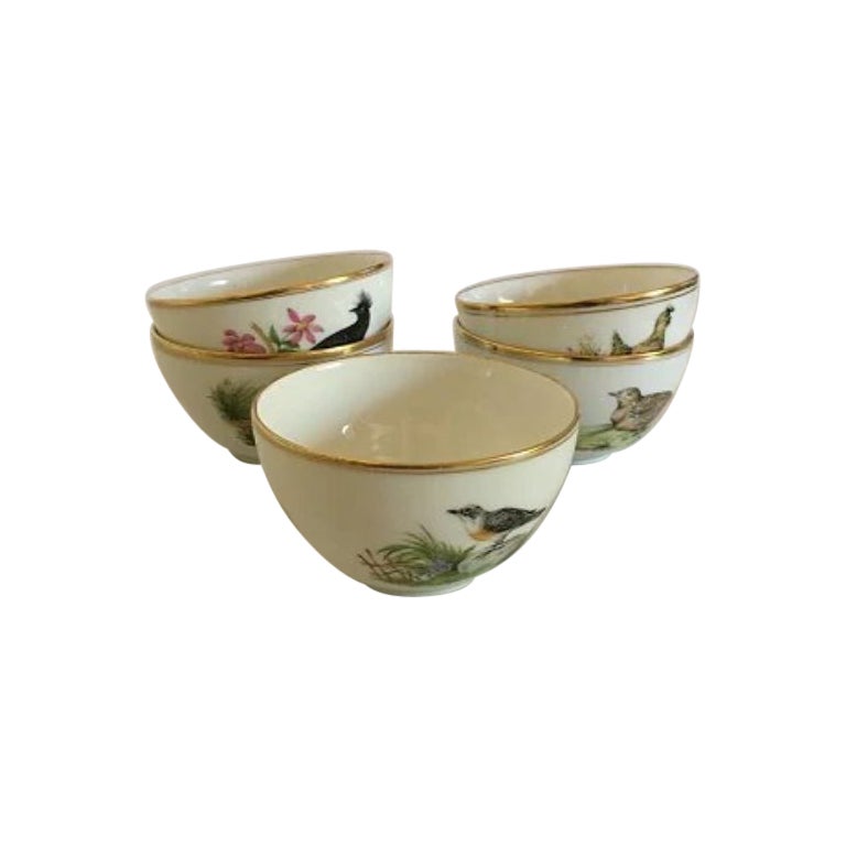 Royal Copenhagen Finger Bowls with Bird Motif from 1870-1880 For Sale ...
