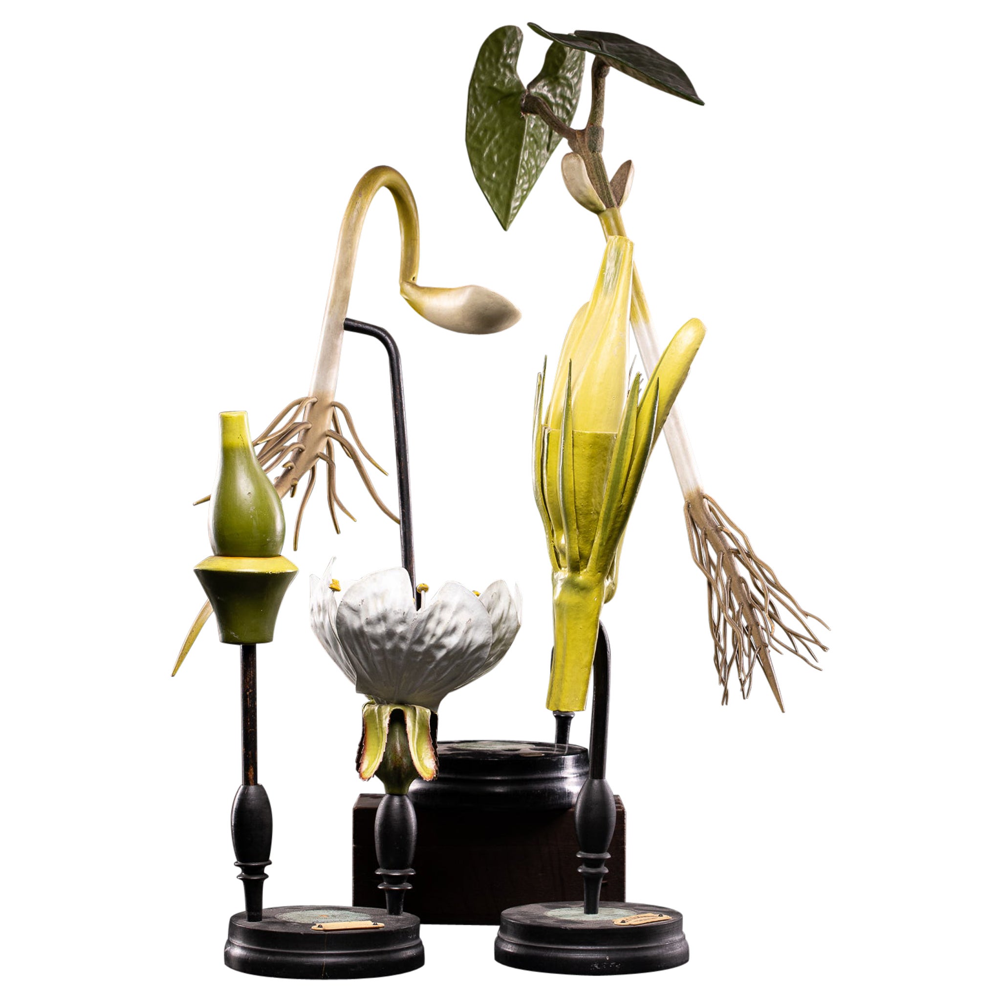 Set of three 19th C Brendel Models Cherry, Bean and Barley For Sale at ...