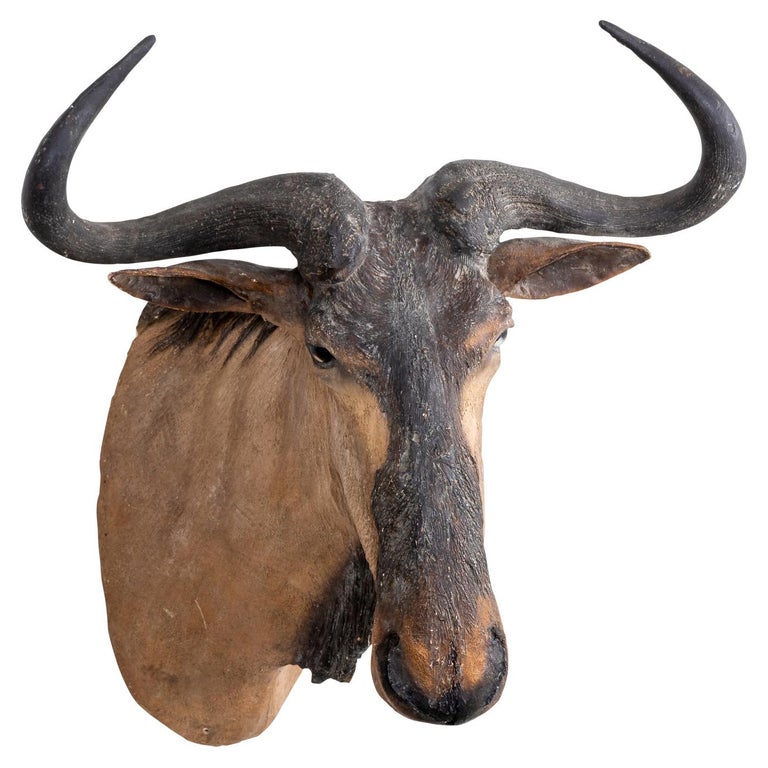Wildebeest Head Cast Resin with Glass Eyes For Sale at 1stDibs