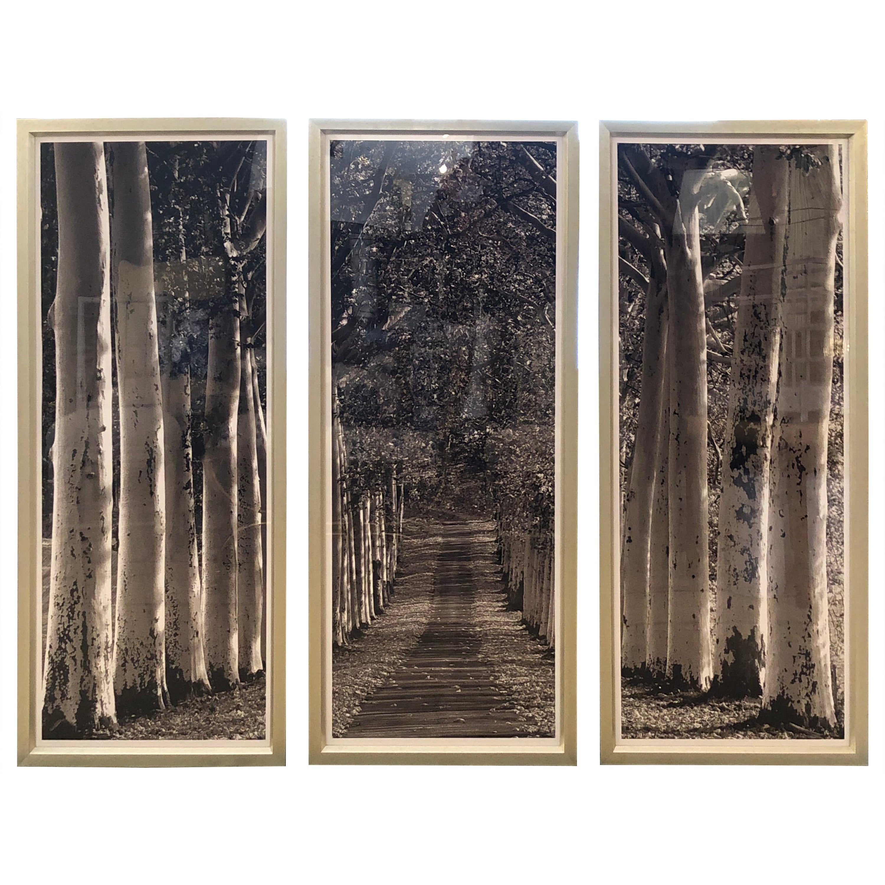 Picasso Etching "347 Series" at 1stDibs
