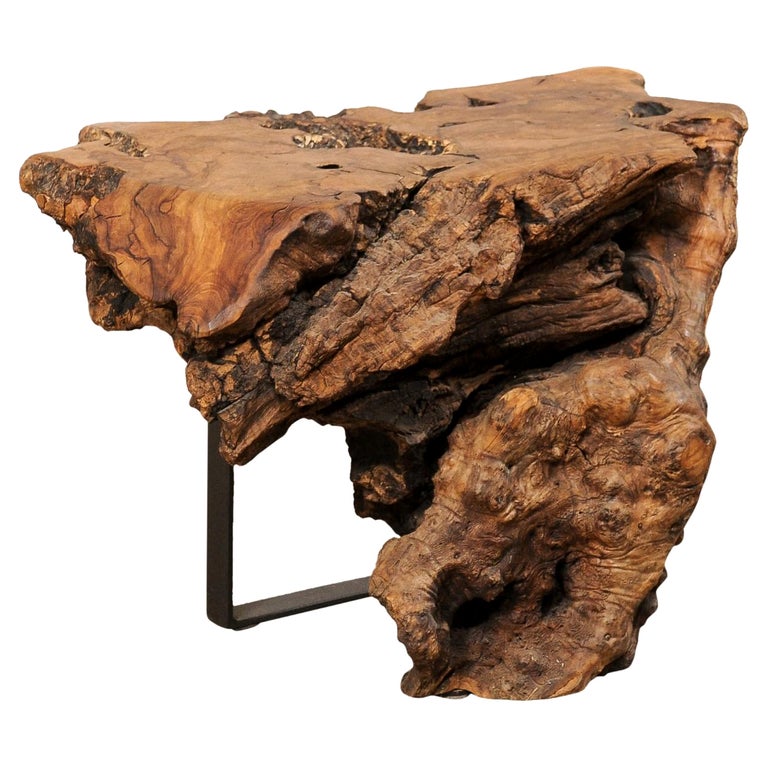 Spanish Knobby Burl Wood Drinks Table w/Iron Legs, 'Also a Great Short ...