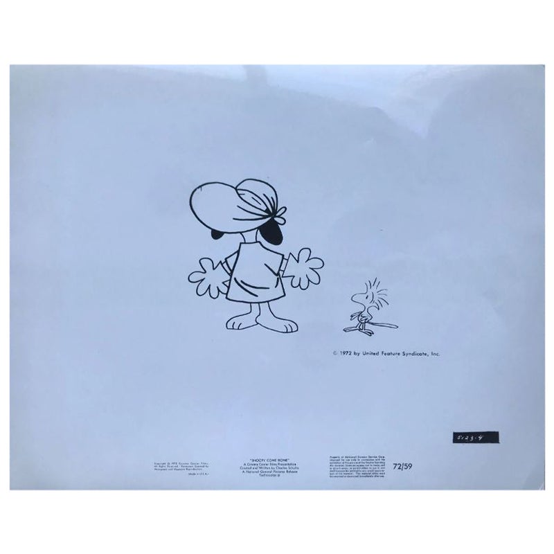 Original Vintage Cartoon Dog Snoopy Poster "I Think I'm Allergic to ...