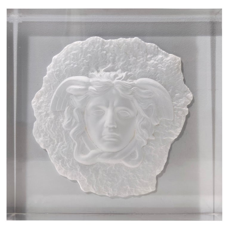 Thick Transparent Plexiglass Decorative Panel with Gorgon by Versace ...