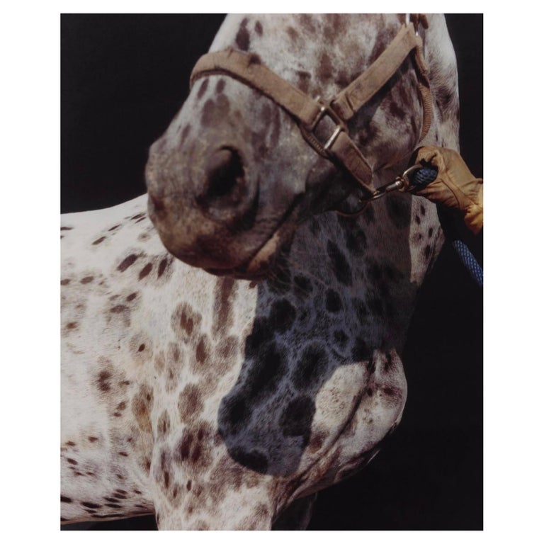 David William Baum, India, Edition of 10, Photograph For Sale at 1stDibs