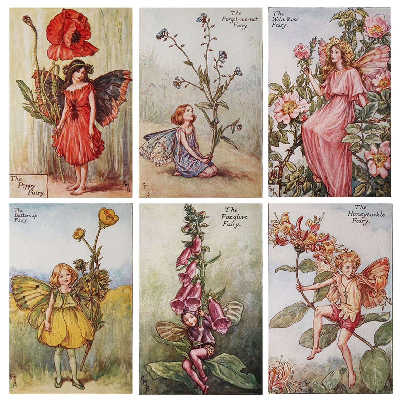 Set of 6 Original Flower Fairy Prints. C.1920 at 1stDibs