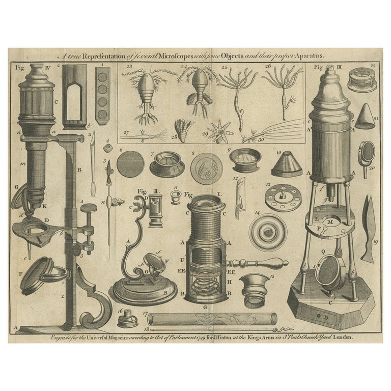 Rare Antique Engraving of Microscopes, 1749 For Sale at 1stDibs