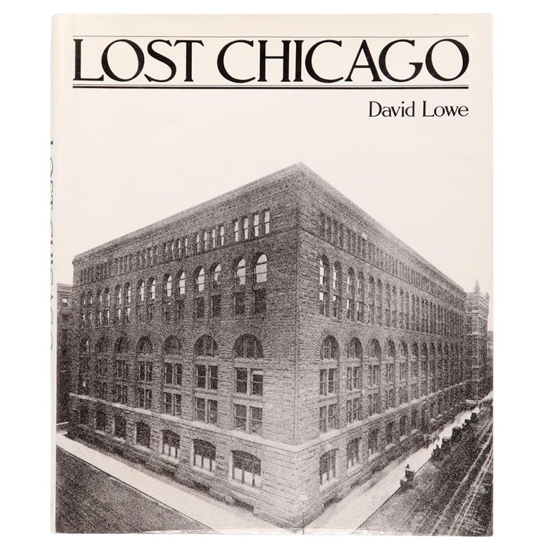 Lost Chicago by David Lowe For Sale at 1stDibs