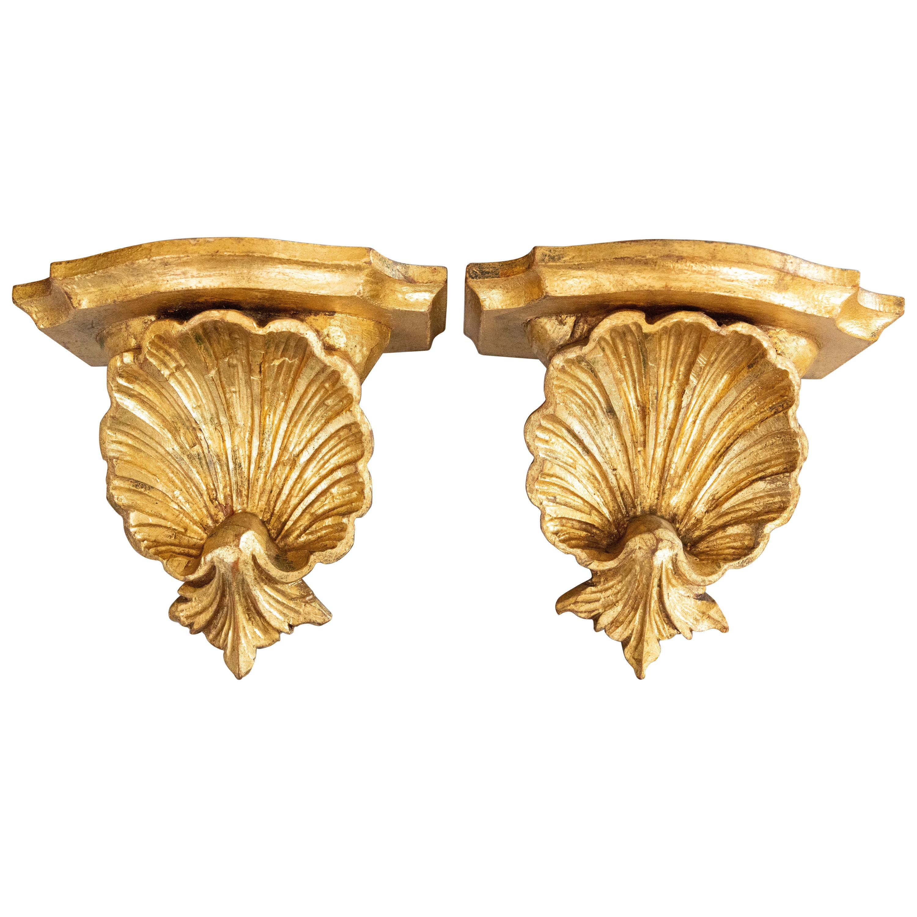Pair of American Shell Niches at 1stDibs
