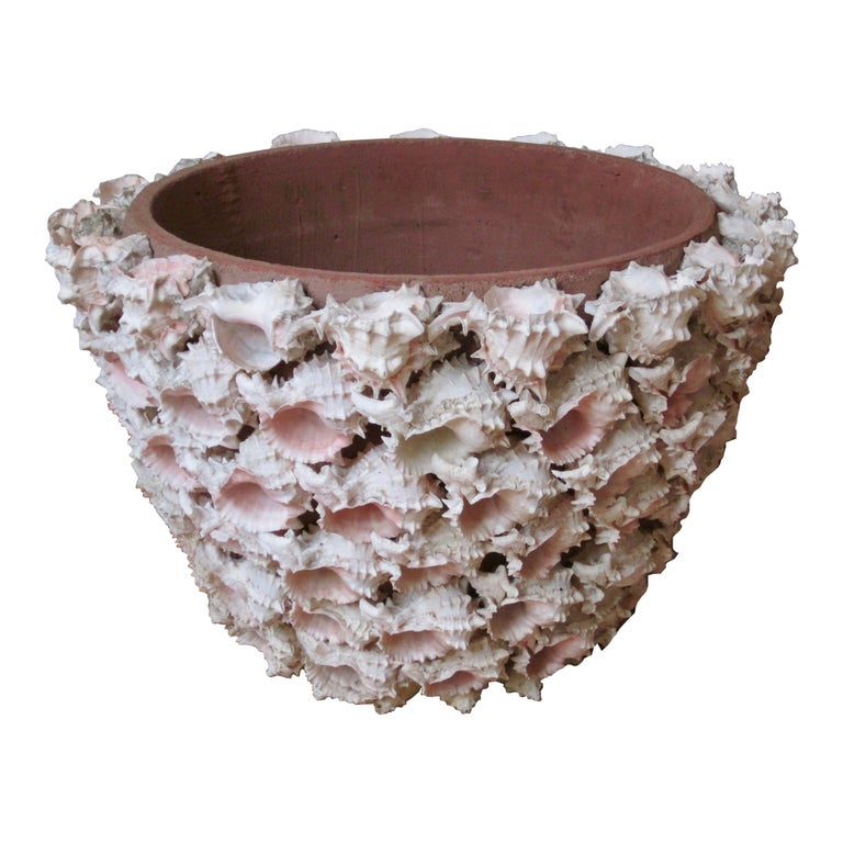 Conch Shell Encrusted Terra Cotta Planter Pot, 20th Century For Sale at ...