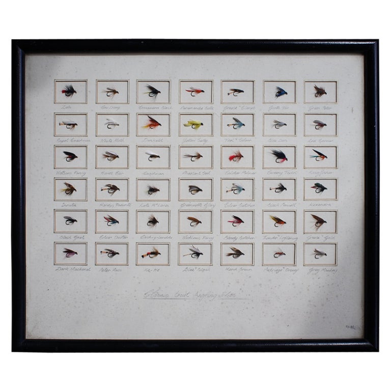 Early 20th Century Trout Fly Fishing Point of Sale Display Taxidermy ...