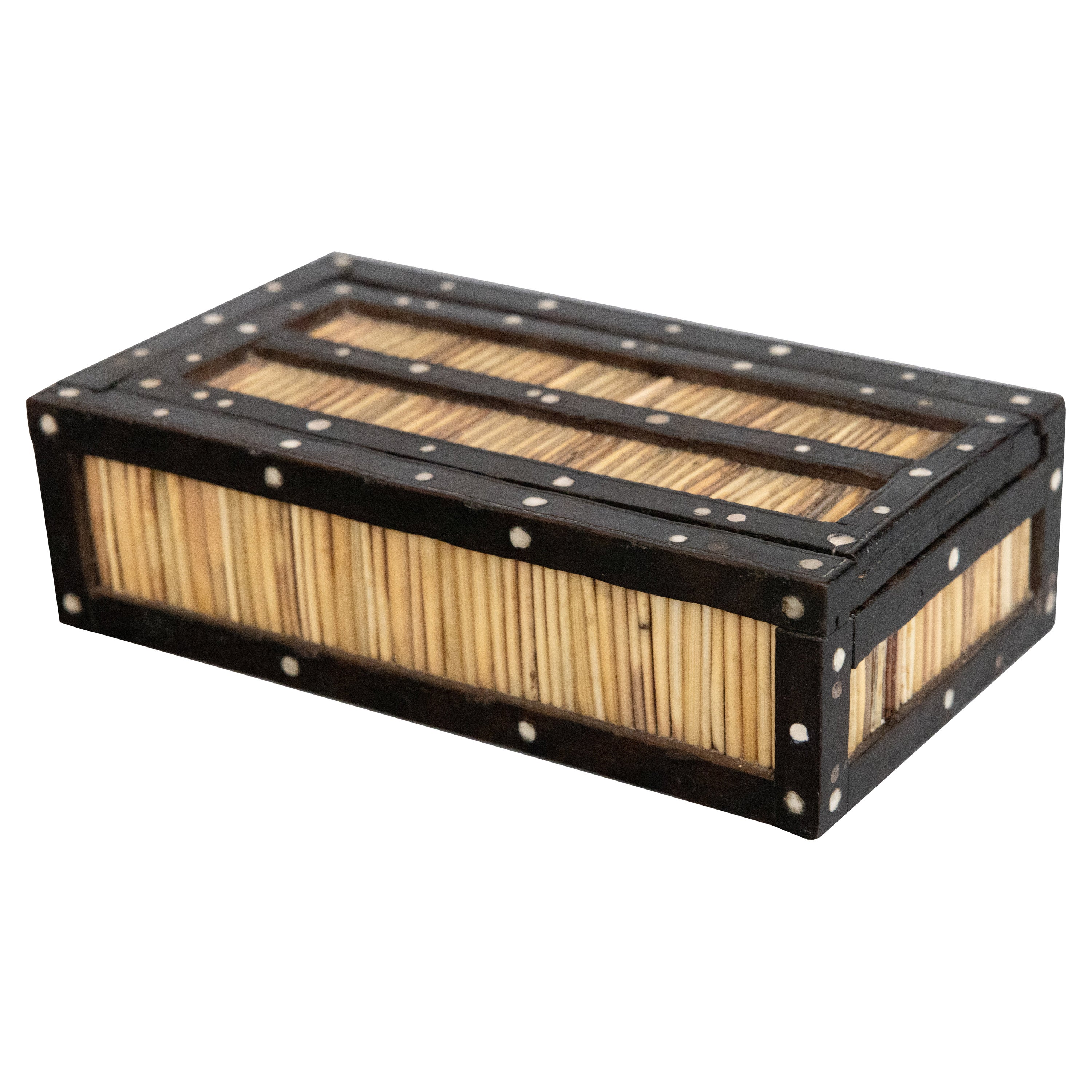 19th Century Anglo Indian Porcupine and Ebony Quill Box For Sale at 1stDibs
