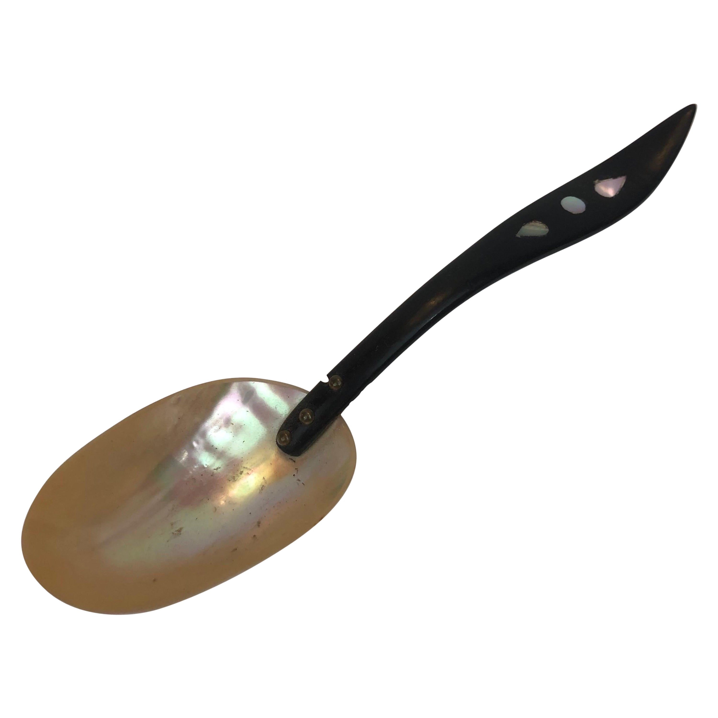 Mother-Of-Pearl Sea Shell Caviar Dish and Spoons Set at 1stDibs ...