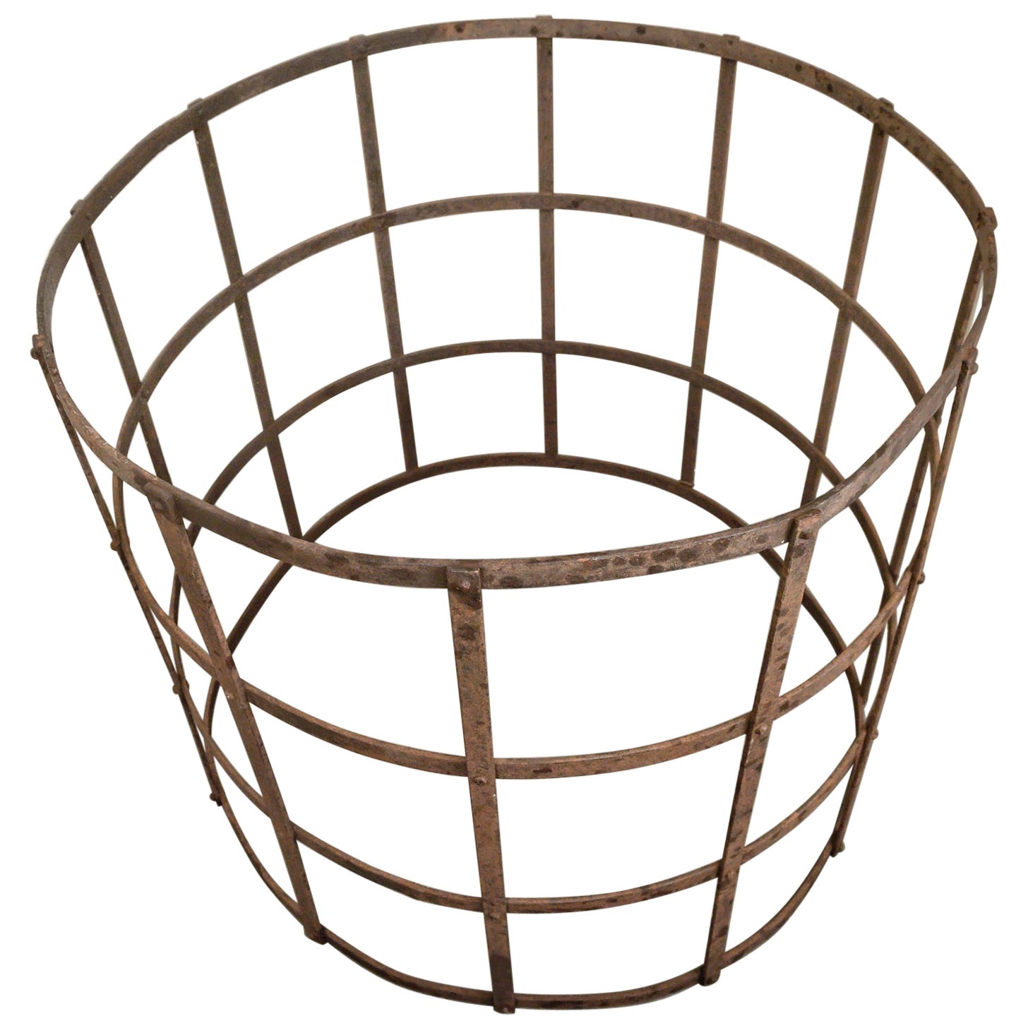 Georgian Riveted Wrought Iron Tree Guard For Sale at 1stDibs