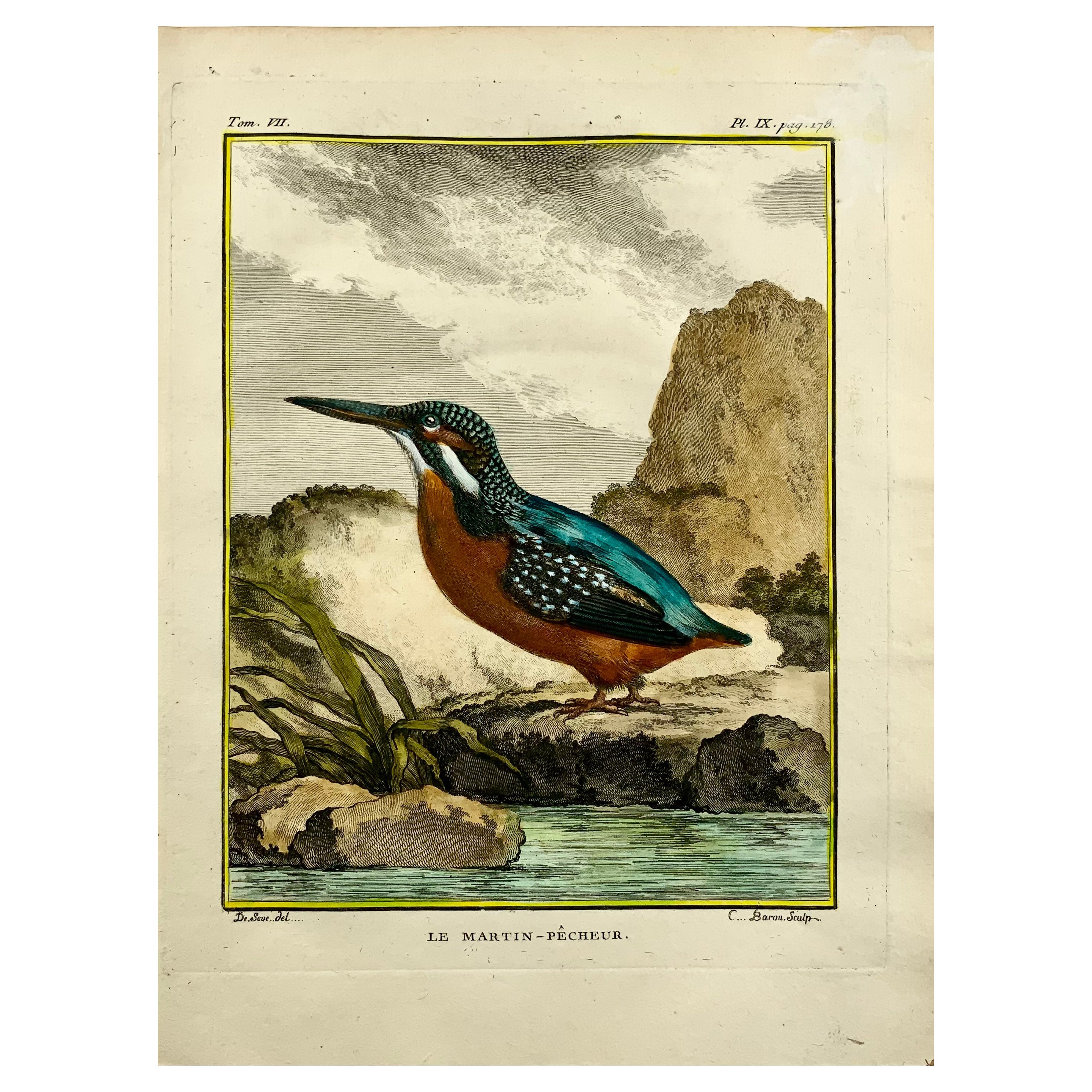 Set of Four Framed English Hand Colored Copper Engravings For Sale at ...