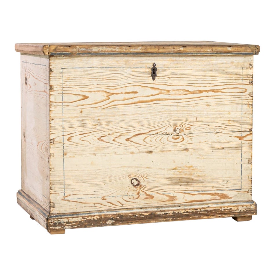 19th Century Central European Trunk at 1stDibs