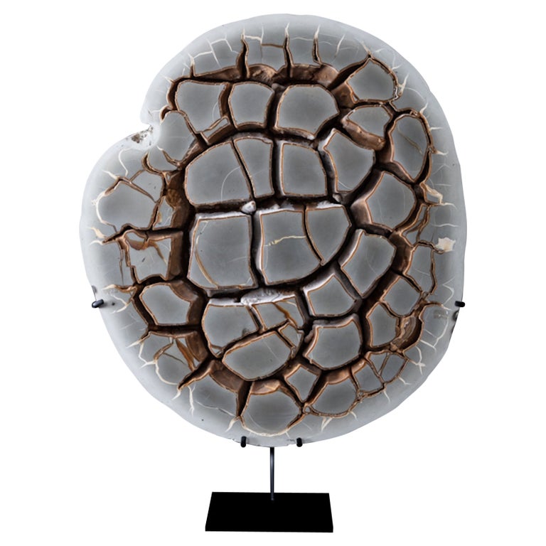 Septarian on Custom Made Metal Base For Sale at 1stDibs