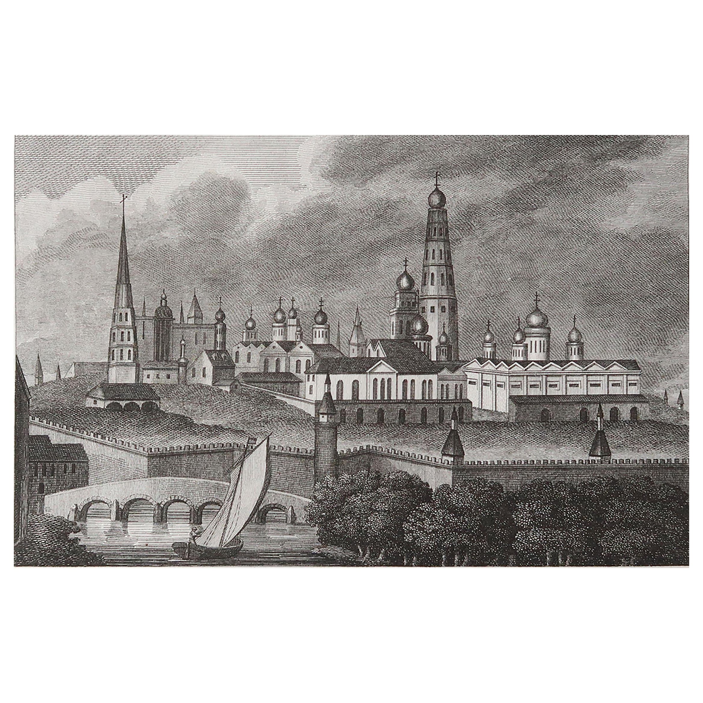 Rare Fish Print of the Norway Redfish 'Sebastes Viviparus' and the ...