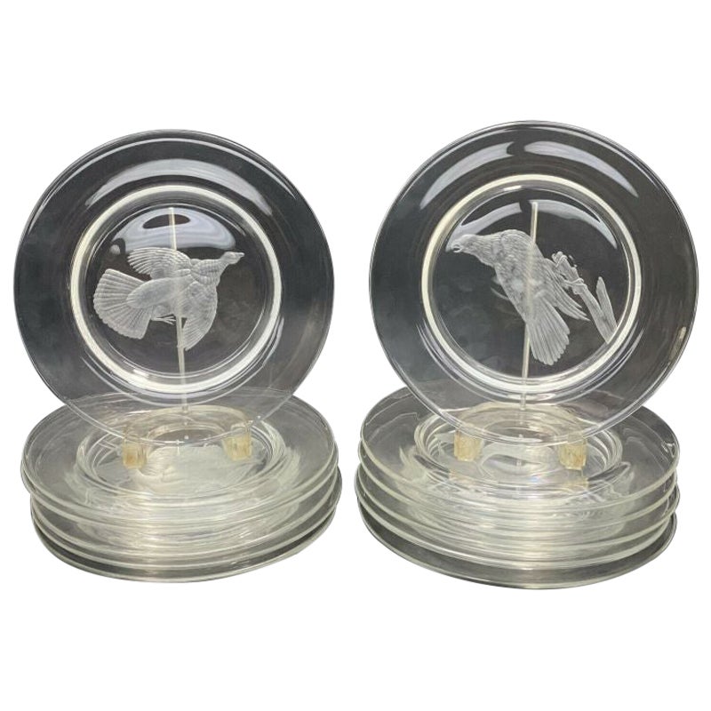 12 Steuben Engraved Glass Audubon Dinner Plates, Various Birds, C1940 ...