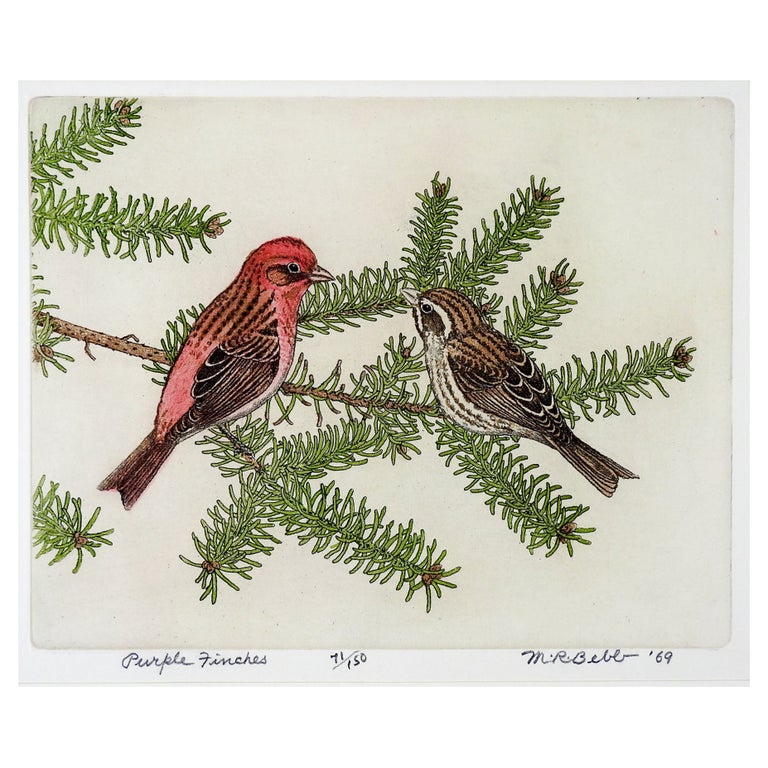 Vintage 1969 Maurice Bebb Purple Finches Aquatint Etching For Sale at ...
