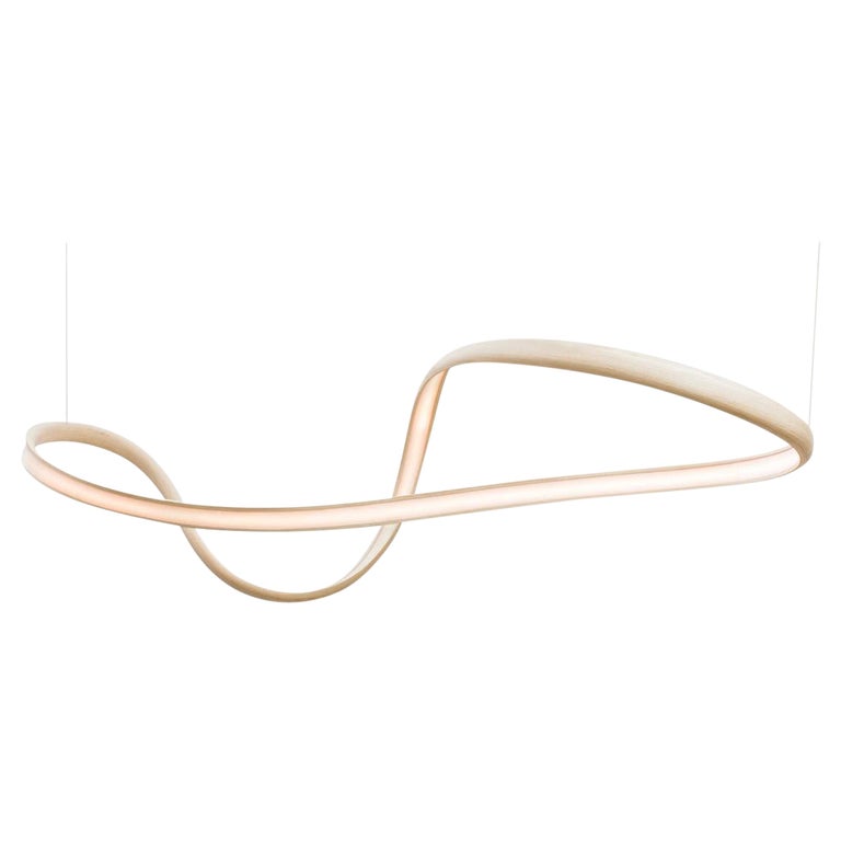 Freeform Series Light Sculpture XI, USA For Sale at 1stDibs