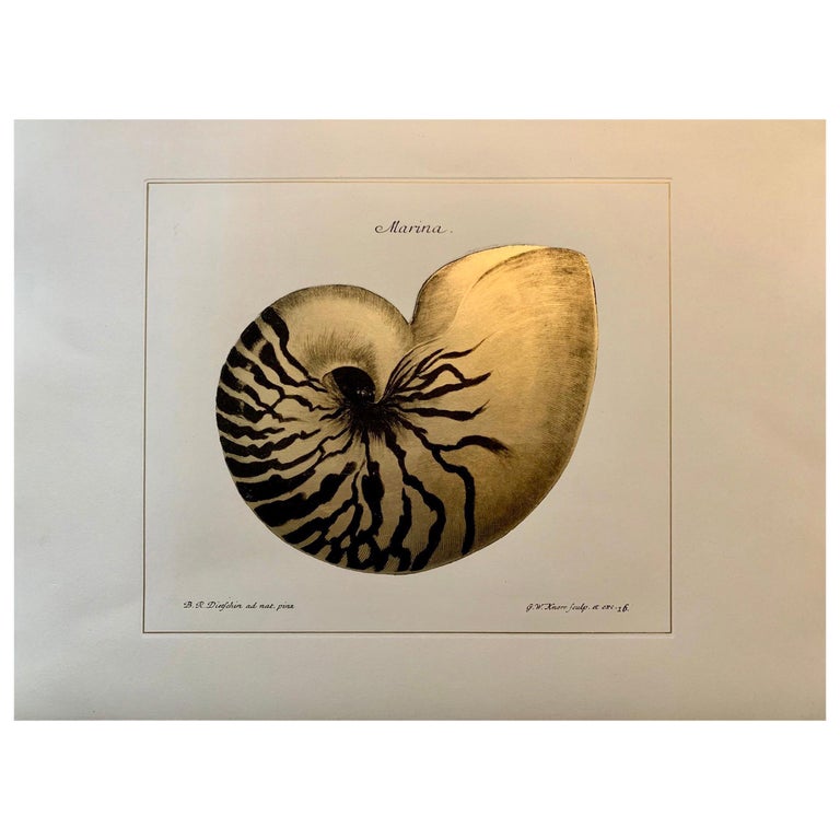 Contemporary Italian "Marina" Print with Press Engraving on Pure Gold ...