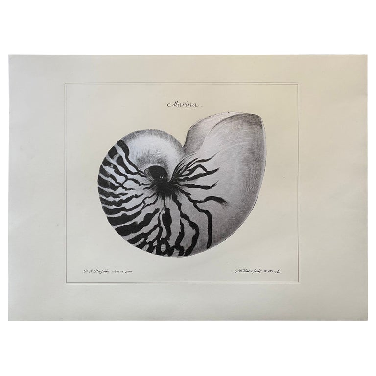 Contemporary Italian "Marina" Print Press Engraving on Pure Silver Leaf ...