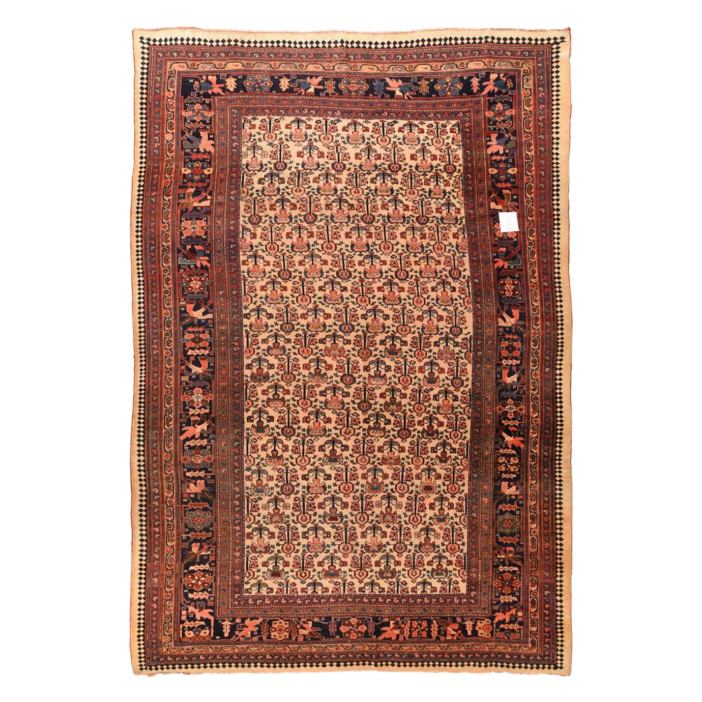 Brown Bidjar Rug For Sale at 1stDibs