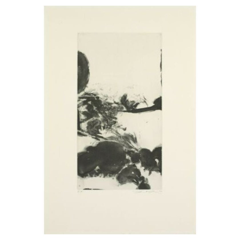 Zao Wou-Ki, Abstract Lithograph, Zhào Wújí - Chinese Art - 1976 For ...