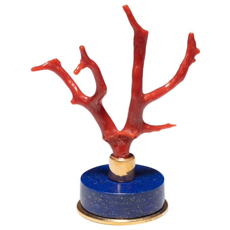 Lapis Lazuli Base and Mediterranean Coral Branch by Alexandre Vossion ...