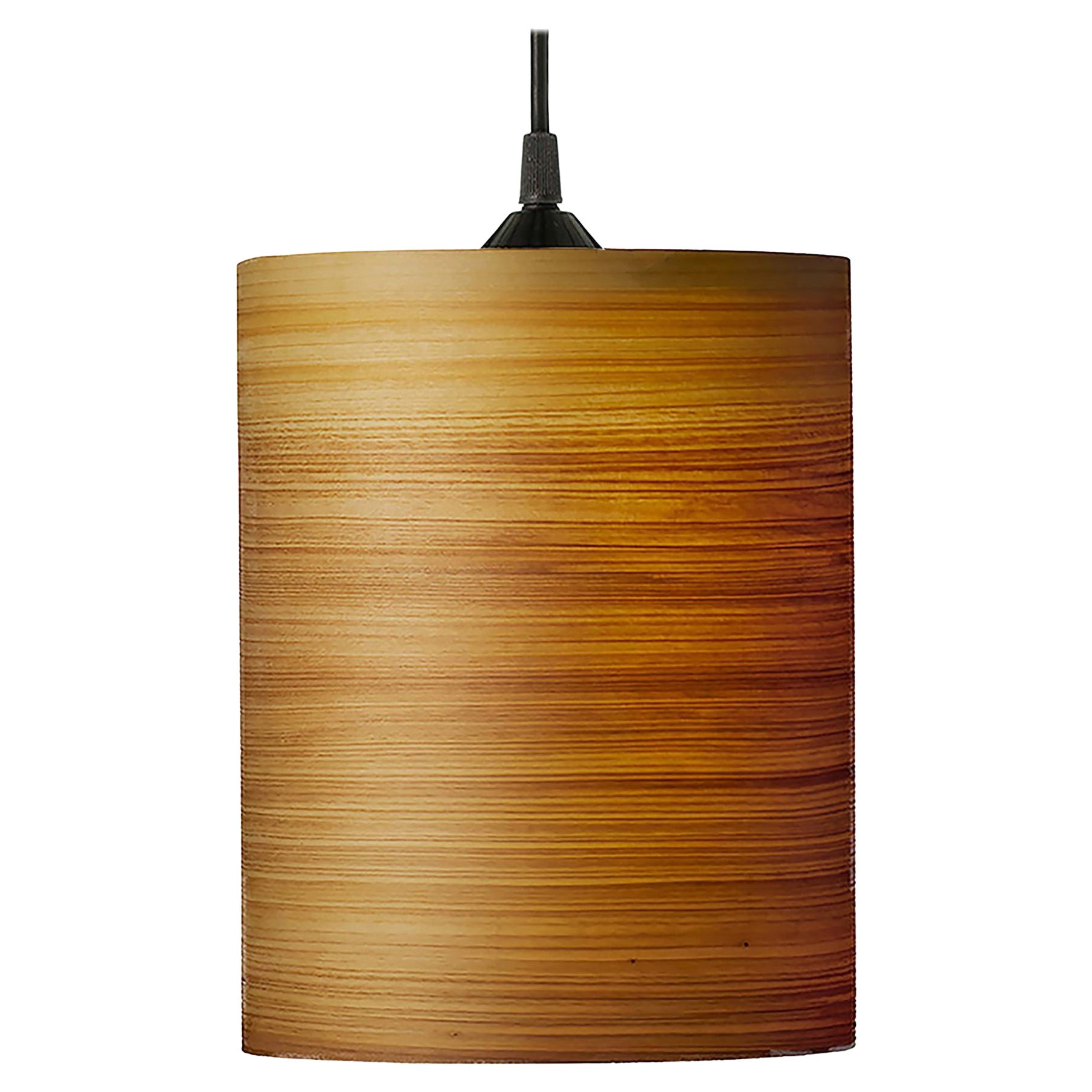 Centa Mid-Century Modern Style Grey Tay Wood Veneer Pendant For Sale at ...