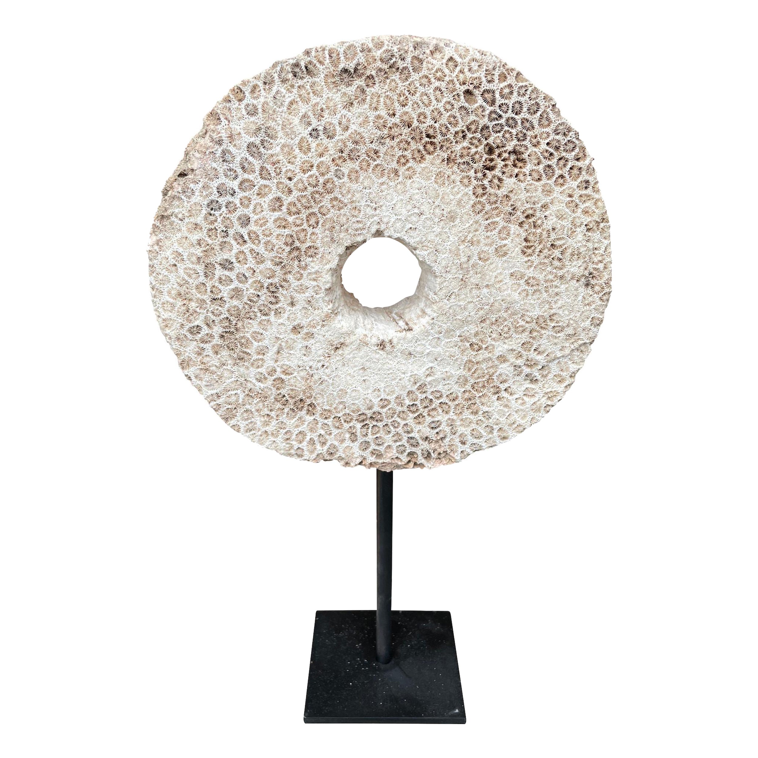 Xl Coral on Asian stand For Sale at 1stDibs
